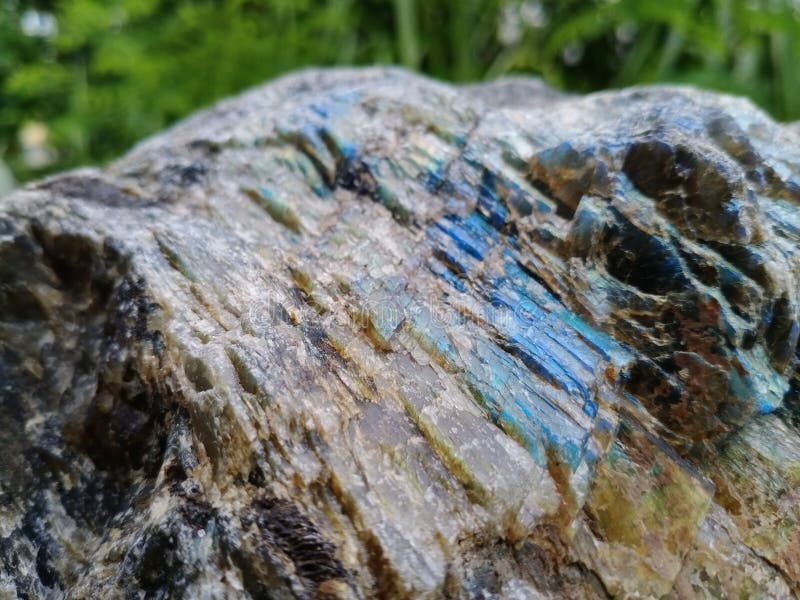 Green and Blue Jude in Stone Stock Image - Image of grass, trunk: 217130363