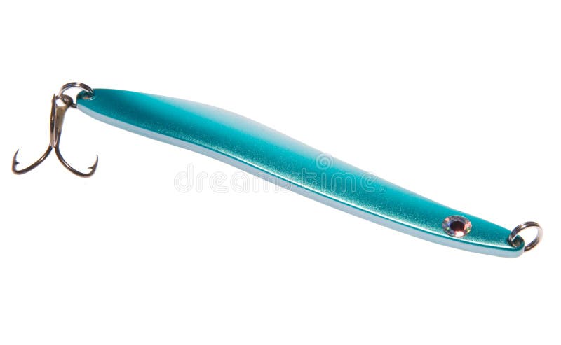 Blue minnow stock image. Image of isolated, water, barb - 10648659