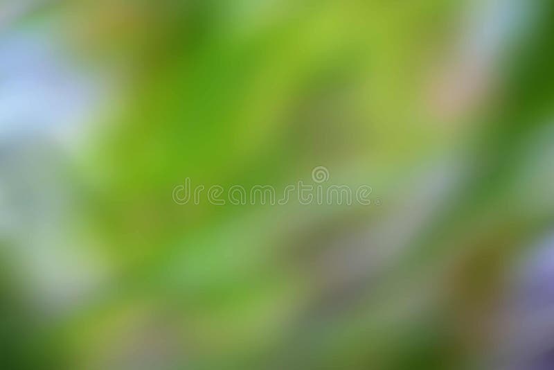 Green blur abstract stock photo. Image of light, blurred - 49703266