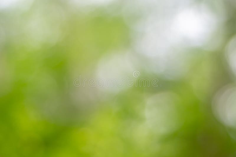 Green Blurred Background and Sunlight, Stock Image - Image of blurred ...