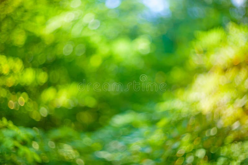 Green Blurred Leaves Background with Bokeh for Designs Stock Image ...