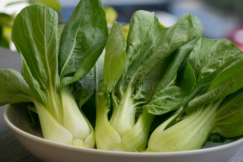 Green Bok Choi stock photo. Image of food, healthy, cabbage - 46147500