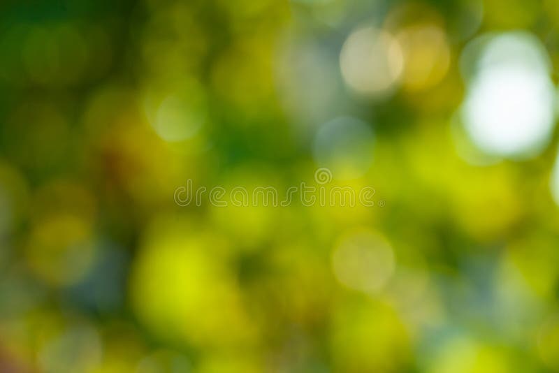 Green Bokeh Abstract Light Background Stock Photo - Image of landscape ... Green Bokeh Abstract Light Background Stock Photo - Image of landscape ...