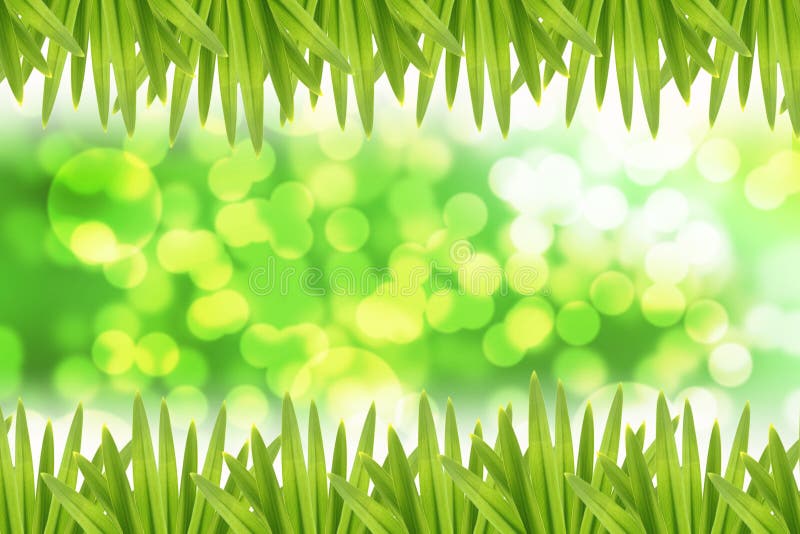 Green Bokeh Background and Leaf on Side. Stock Image - Image of garden ...
