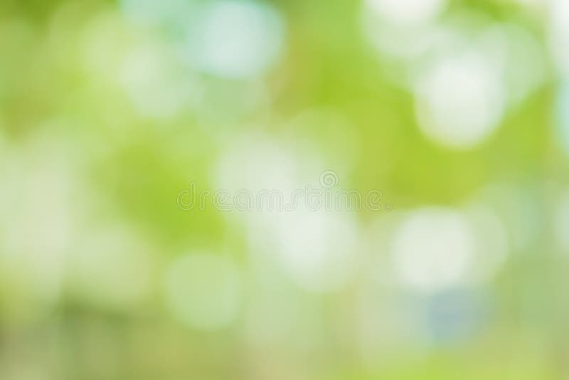 Green Leaves Bokeh Out of Focus Background from Nature Forest Stock ...