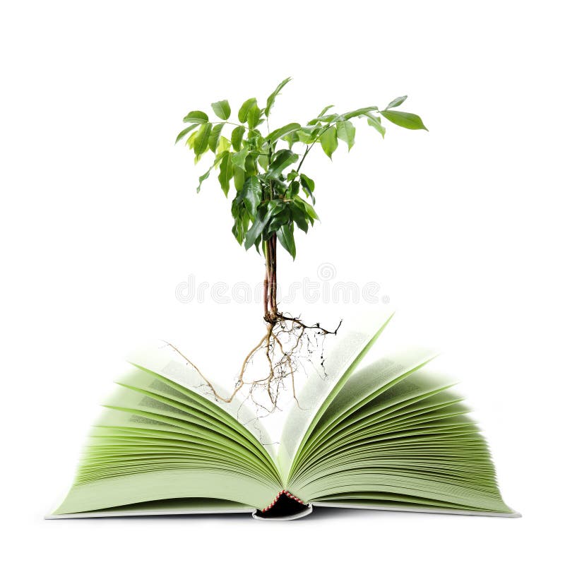 Green book stock photo. Image of environment, organic - 20498356