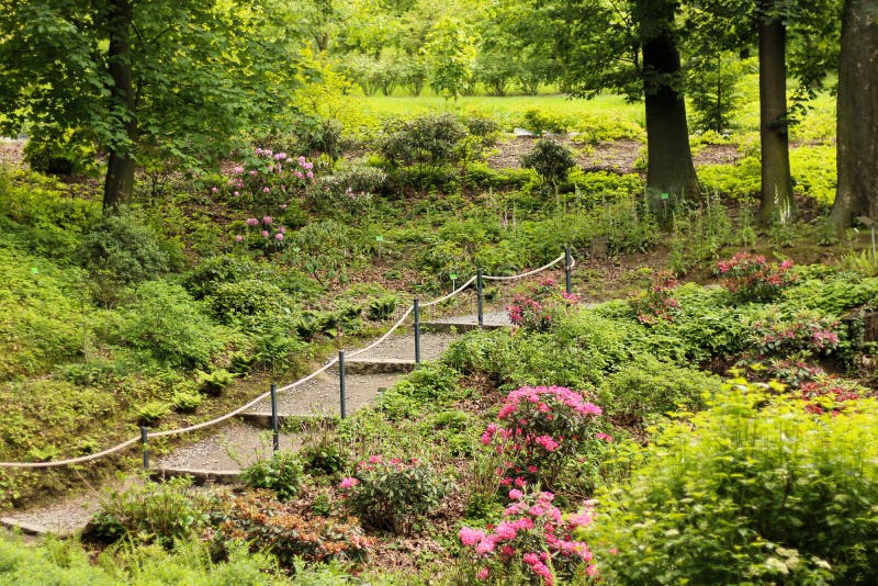 Green Botanical Garden with Different Flowers and Plants Stock Photo ...