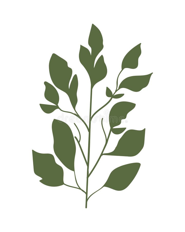 Green Botanical Leaves and Branch.Vector Illustration Stock Vector ...