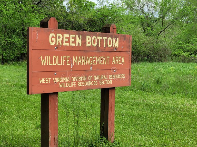 Green Bottom Sign Post editorial photo. Image of grass - 247776981