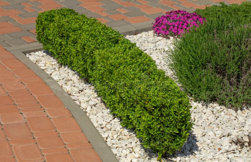 249 Flower Bush Png Photos - Free & Royalty-Free Stock Photos from ...