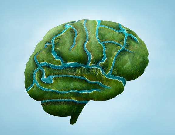Green Brain Stock Illustrations – 27,105 Green Brain Stock ...