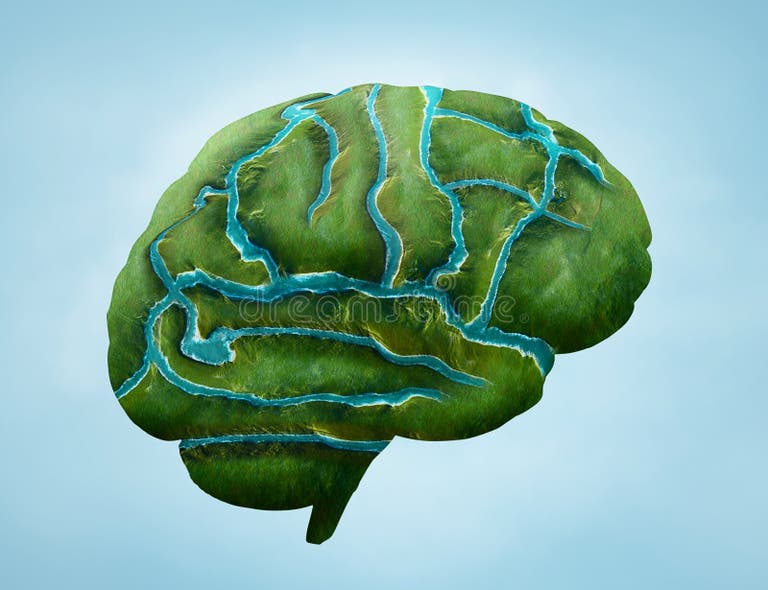 Green Organic Brain Stock Illustrations – 2,878 Green Organic Brain Stock Illustrations, Vectors ...