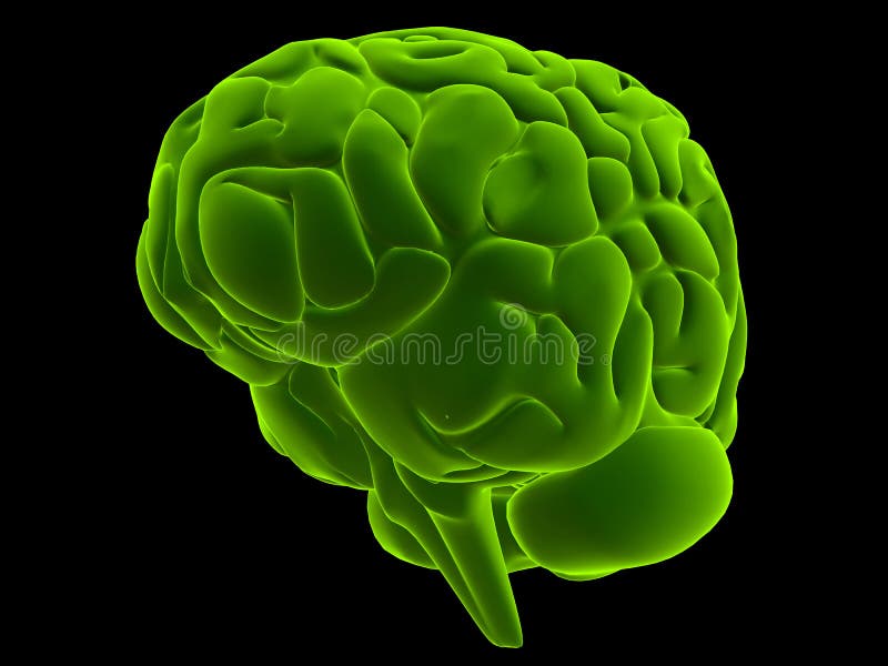 3d brain stock illustration. Illustration of people, biological - 4058147