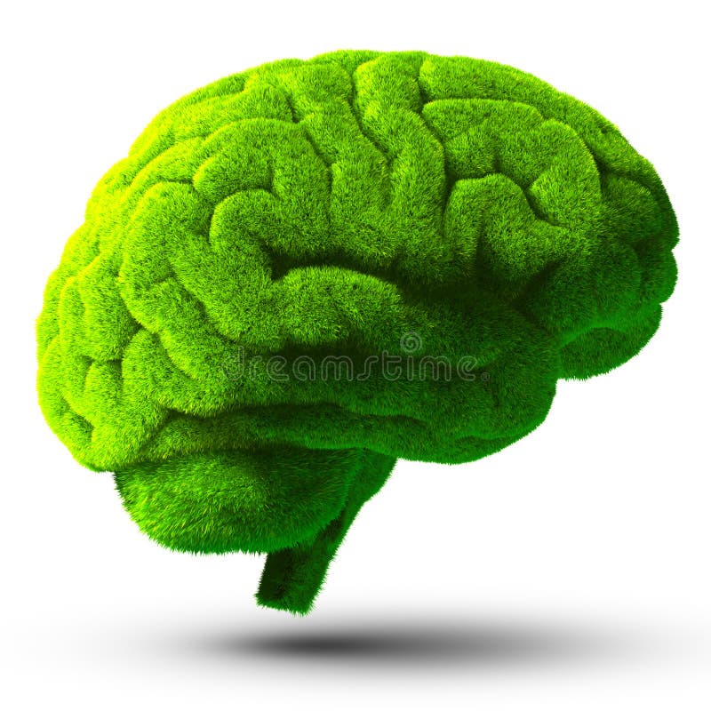 Green brain stock illustration. Illustration of abstract - 28881604