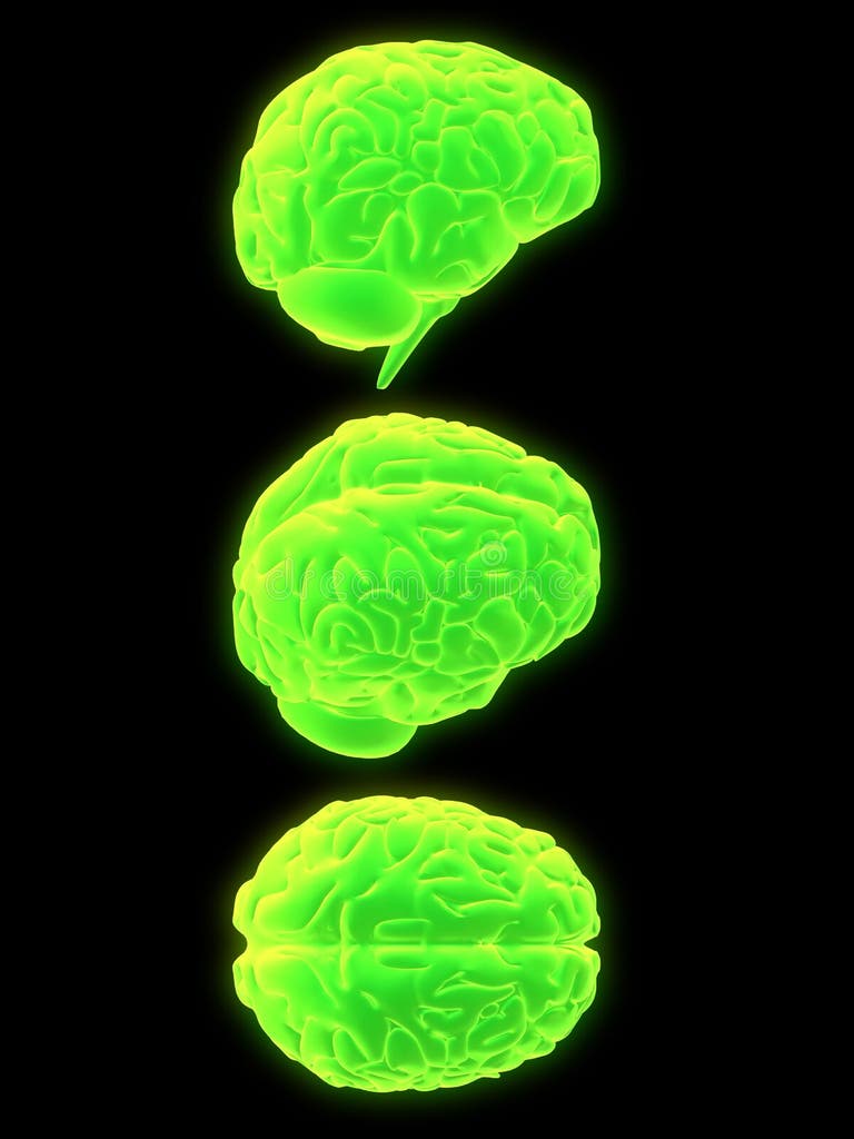 Green Brain Stock Illustrations – 22,118 Green Brain Stock ...