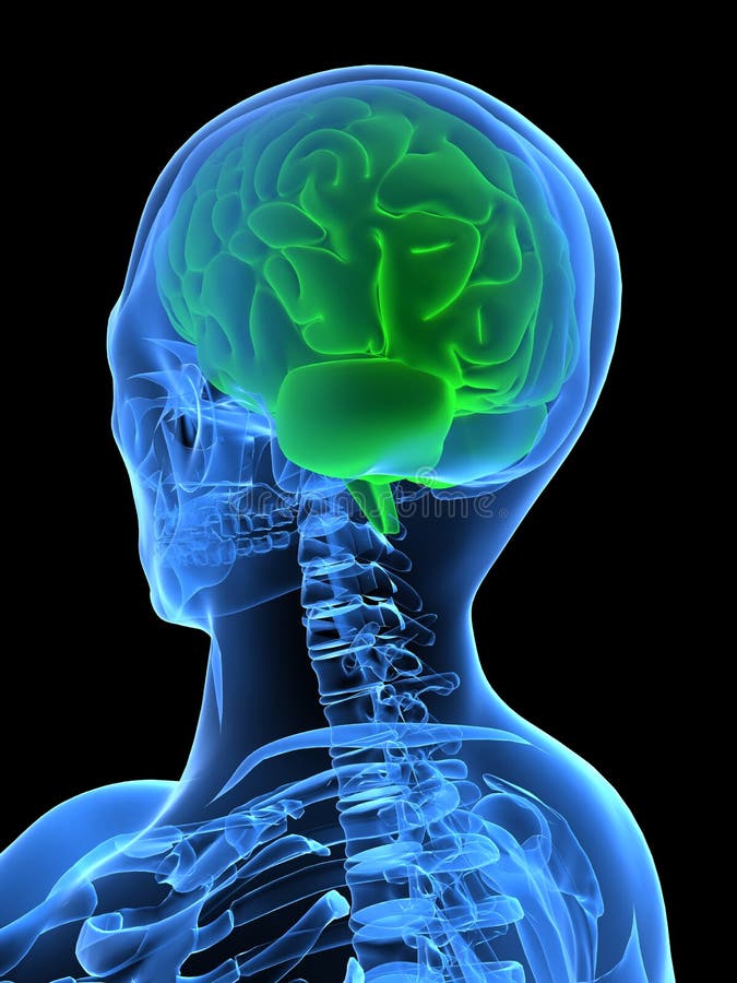 Green brain stock illustration. Illustration of abstract - 1371006