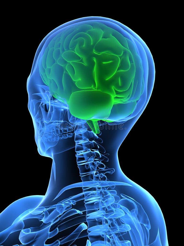 Green Brain Stock Illustrations – 26,104 Green Brain Stock ...
