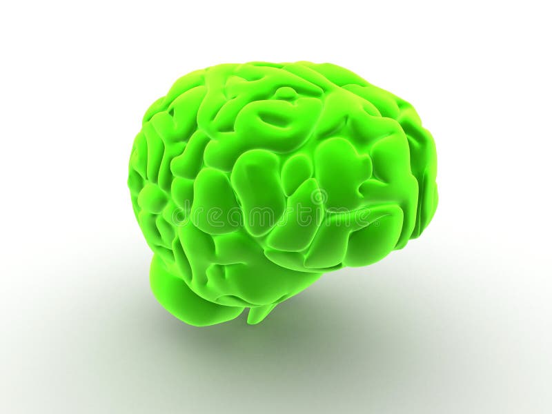 Green brain stock illustration. Illustration of model - 3195435