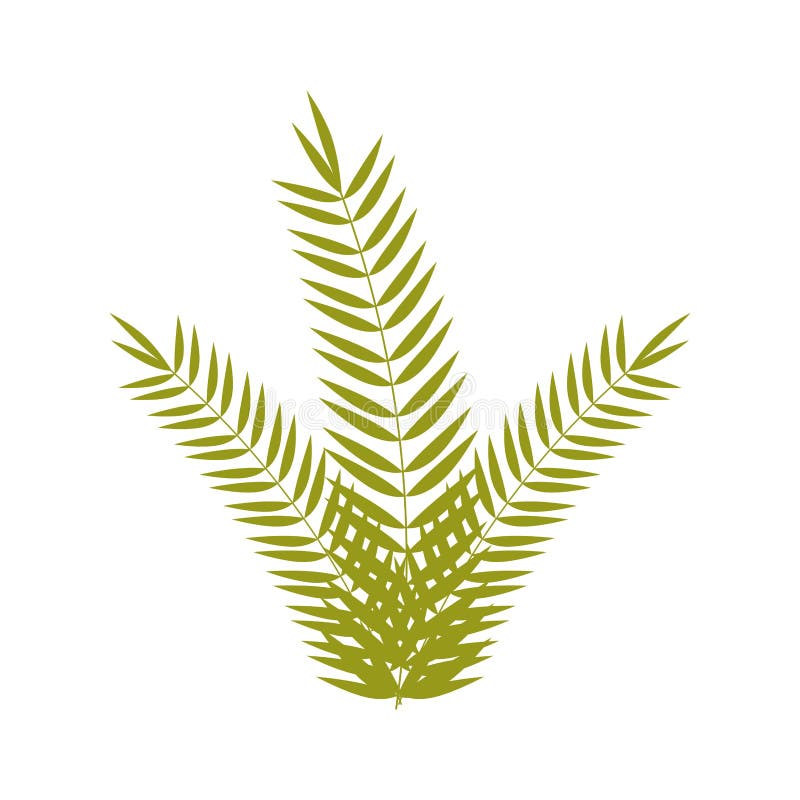 Green Branch with Multiple Leaves Stock Vector - Illustration of ...