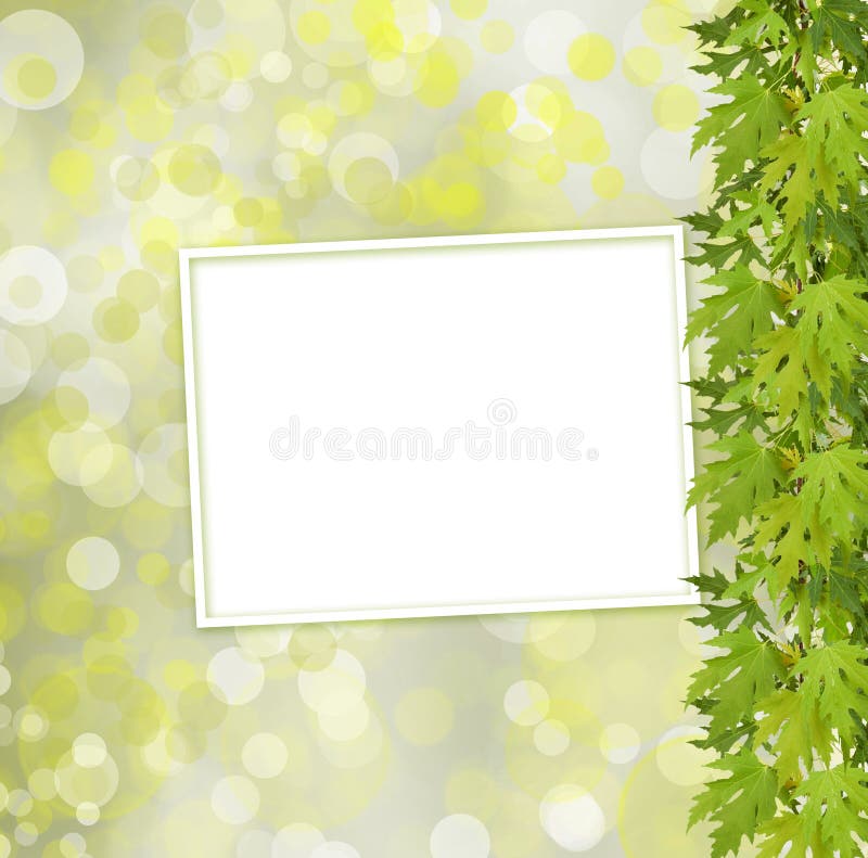 Green Branch of Tree and Paper Frame on Abstract Background Stock Image ...
