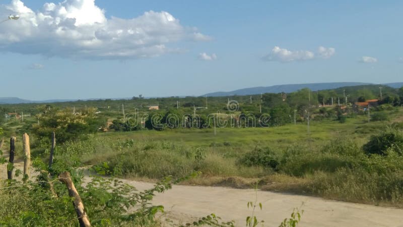 Green brazilian fields stock image. Image of fields - 178824563