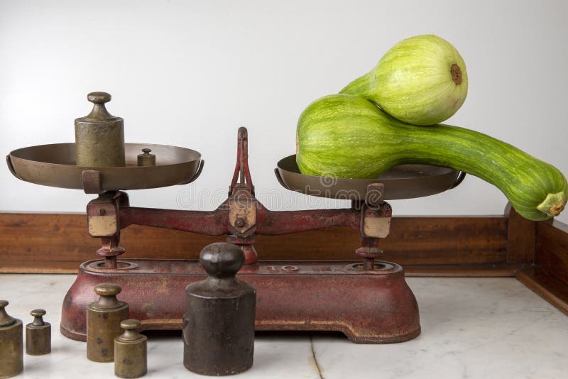 Squash Instrument Stock Photos - Free & Royalty-Free Stock Photos from ...
