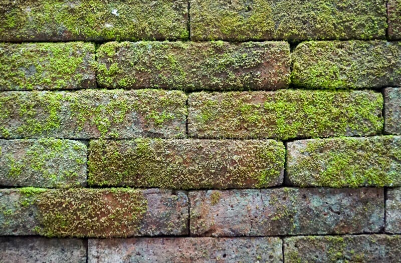 Green Brick Texture. Brick with Grass Stock Image - Image of historical ...