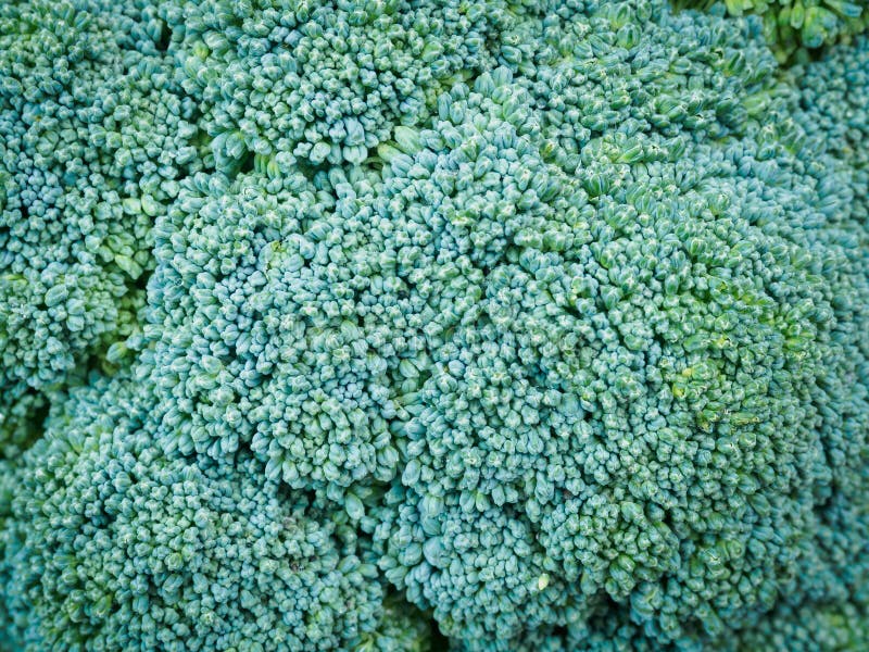 Green Broccoli Backgraund Photo Macro Texture Stock Image - Image of ...