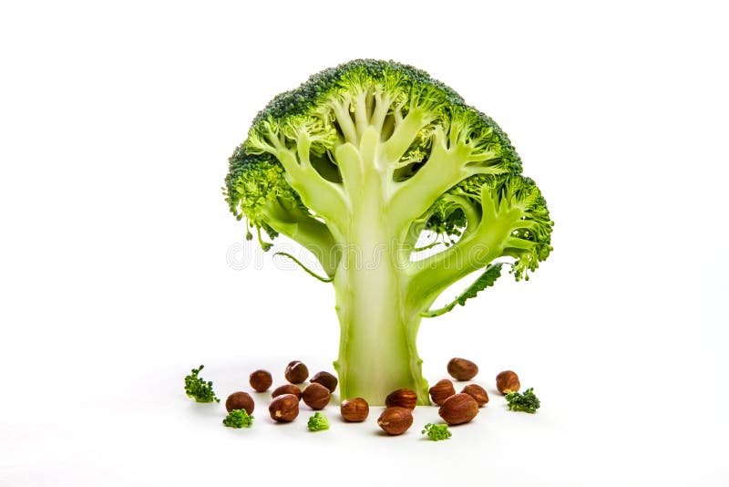 188 Broccoli Cross Section Stock Photos - Free & Royalty-Free Stock ...