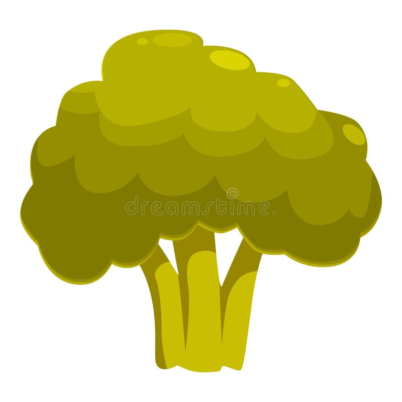 Green Broccoli Florets Growing on Thick Stalks Stock Vector ...