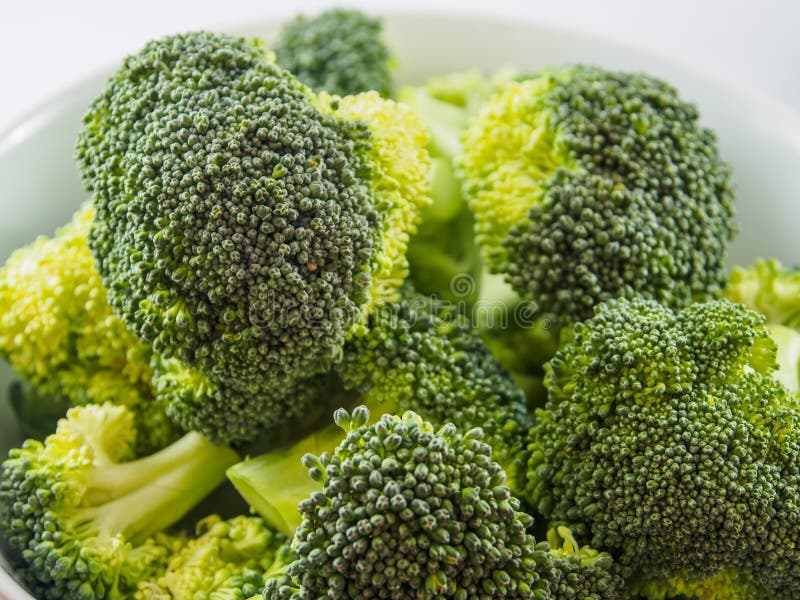 Green broccoli stock photo. Image of fresh, agriculture - 60522652