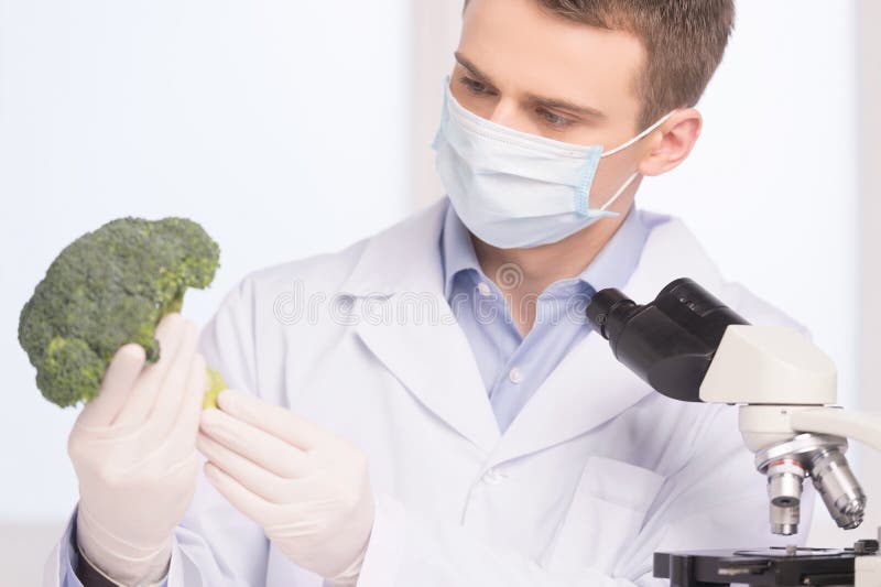 Genetic engineering stock image. Image of laboratory - 30367237