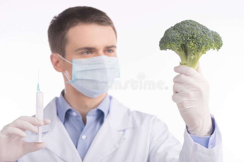 214 Broccoli Lab Stock Photos - Free & Royalty-Free Stock Photos from ...