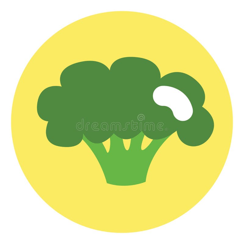 Green broccoli, icon stock vector. Illustration of nutrition - 258924426