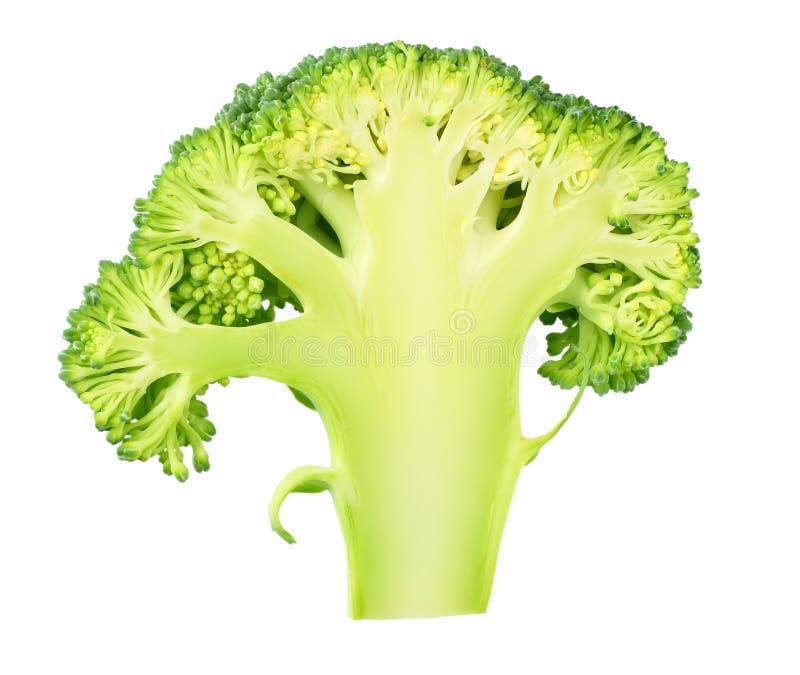 Broccoli slice isolated stock image. Image of healthy - 34549259