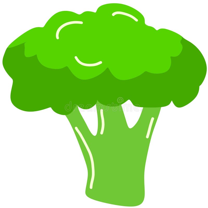 Green broccoli stock vector. Illustration of vector - 268297124