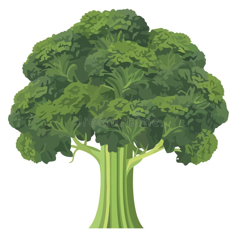 Broccoli Forest Stock Illustrations – 253 Broccoli Forest Stock ...
