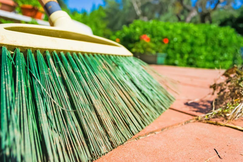 Green broom stock image. Image of bunch, sweeping, meadow - 31090981