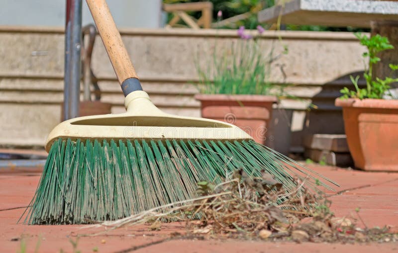 Green broom stock image. Image of bunch, sweeping, meadow - 31090981