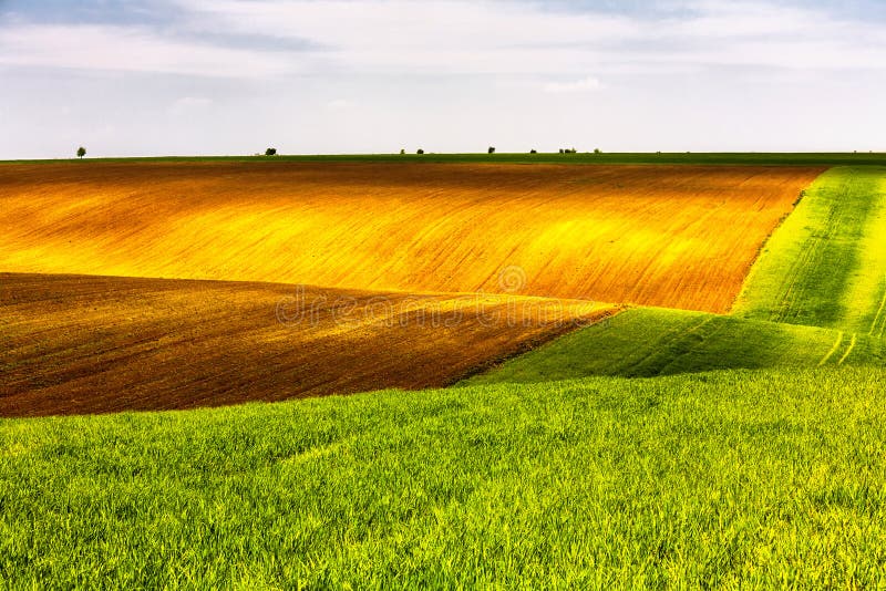 Green and Brown Fields Side by Side Stock Photo - Image of agriculture ...