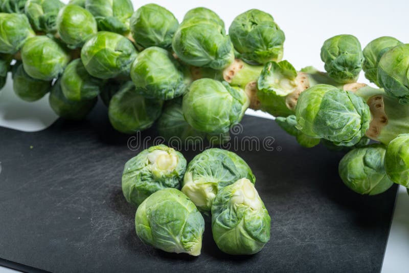 Green Brussels Sprouts on Stalk on White Table Stock Image - Image of ...