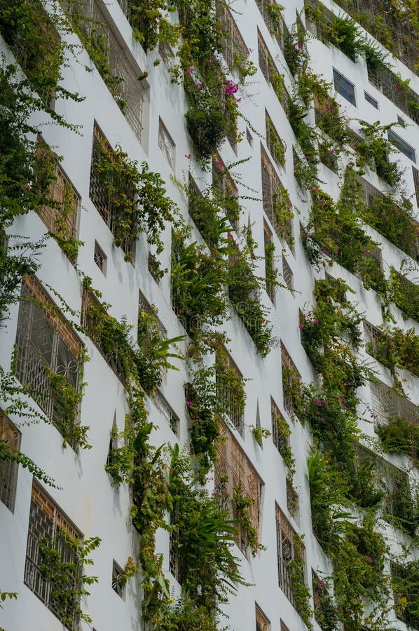 Green Building Architecture Background. Building with Green Plan Stock ...