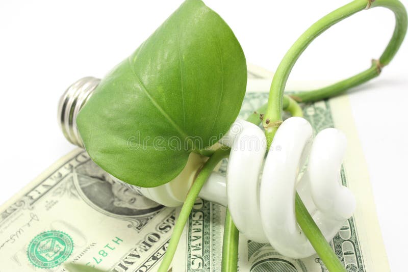 Green Bulb stock photo. Image of save, imagination, power - 8168362