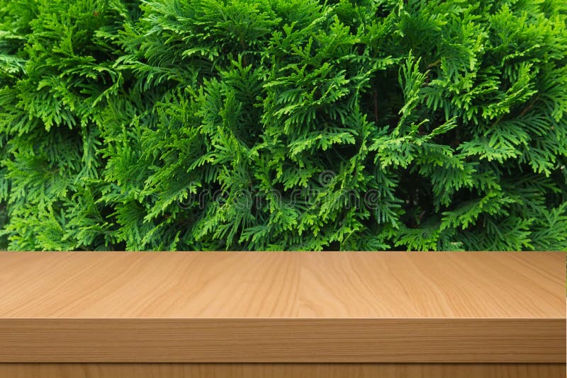 Green Bush and Empty Wooden Table Stock Photo - Image of montage ...