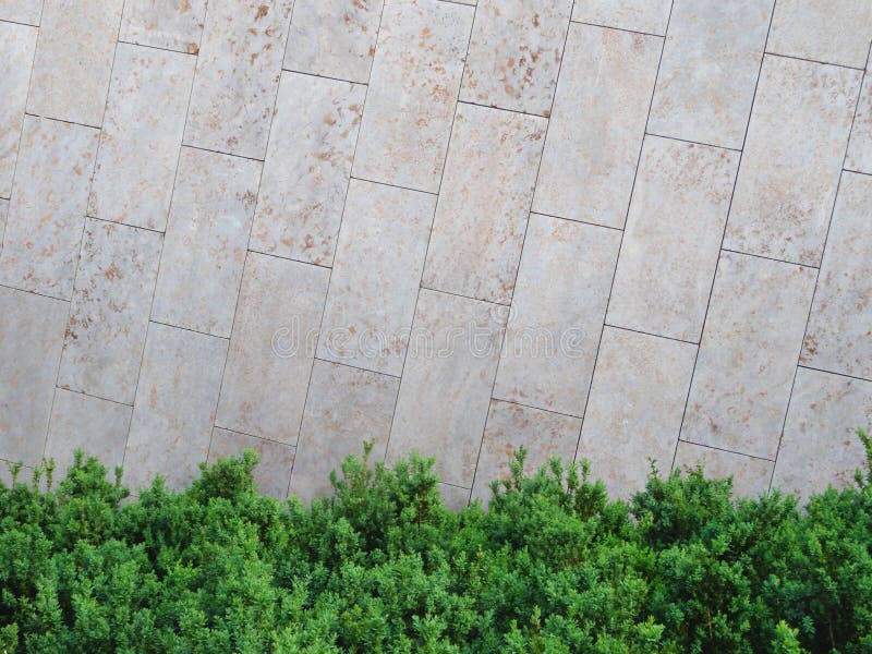 Green Bush in front wall stock image. Image of landscape - 116490435