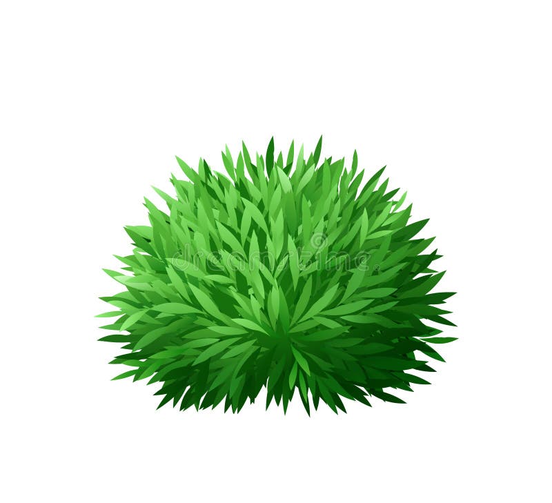 Green Bush Illustration stock vector. Illustration of landscape - 232100230