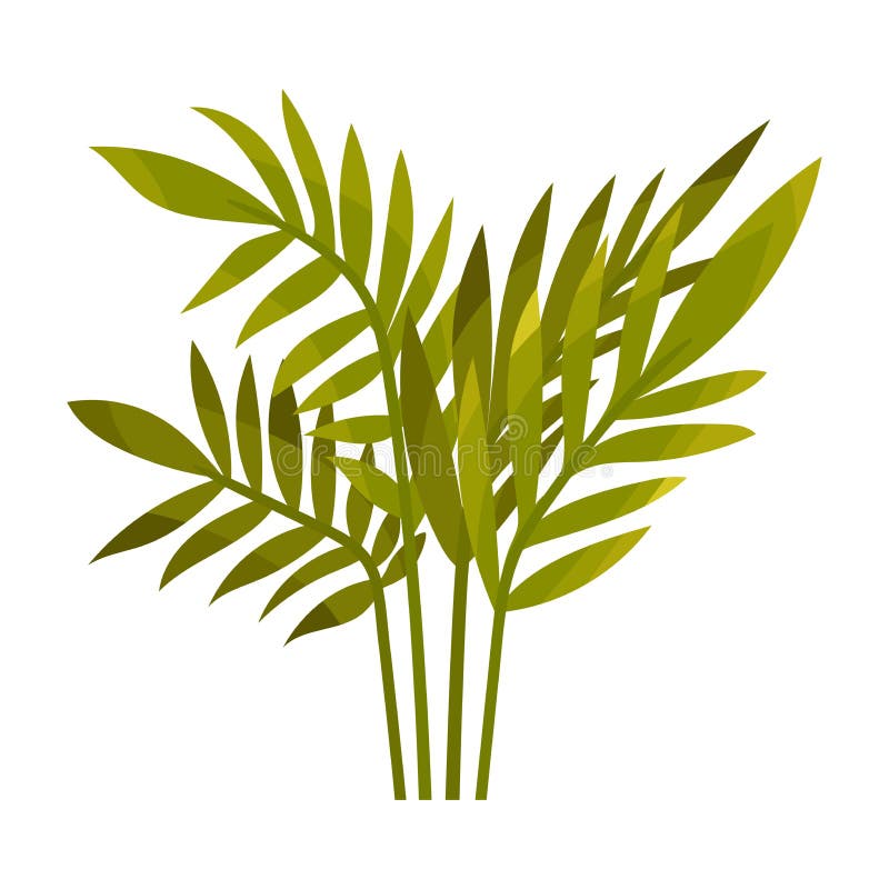 Green Bush of Leaves. Vector Illustration on a White Background. Stock ...