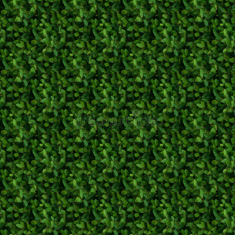 2,637 Green Bush Seamless Texture Stock Photos - Free & Royalty-Free ...