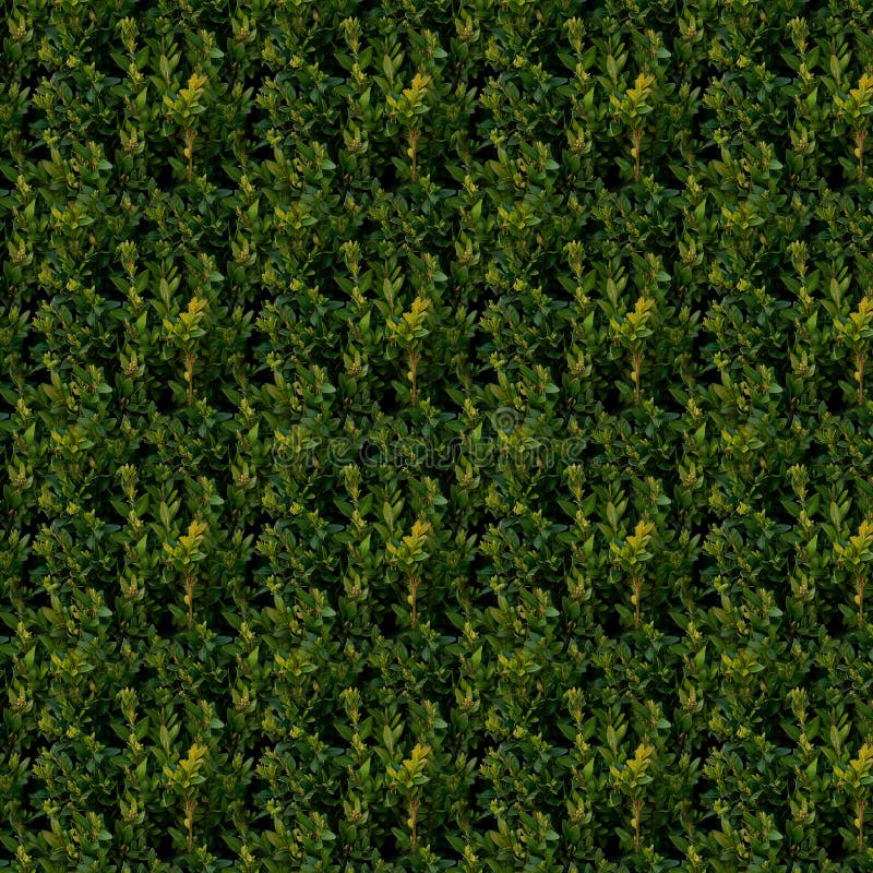 2,637 Green Bush Seamless Texture Stock Photos - Free & Royalty-Free ...