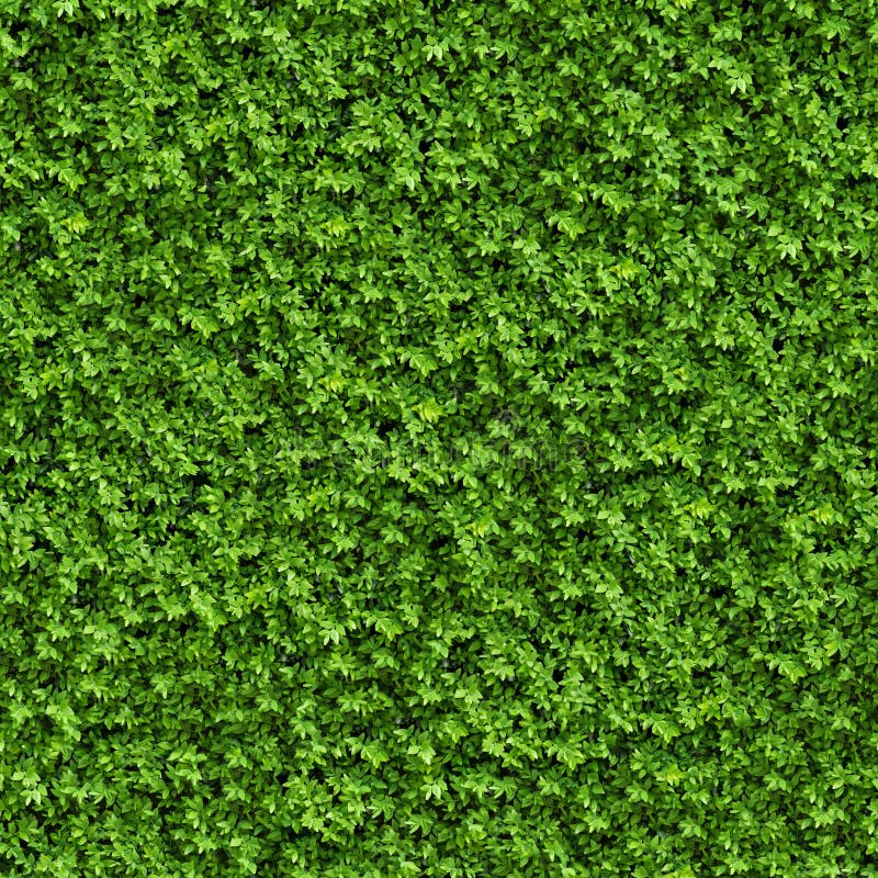 Green Bush. Seamless Texture. Stock Illustration - Illustration of ...